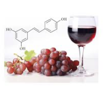 The Remarkable Health Benefits of Grapes and Resveratrol – NATURAL BIOLOGY